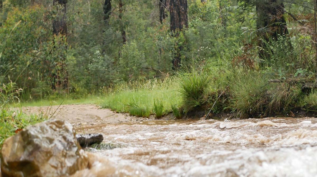 ADVICE – WATER CROSSINGS MADE EASY - JUST 4X4S